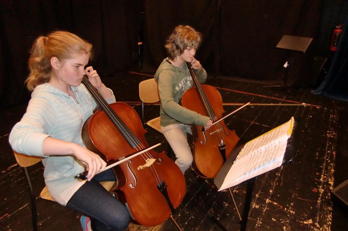 Cello - Holmestrand kommune