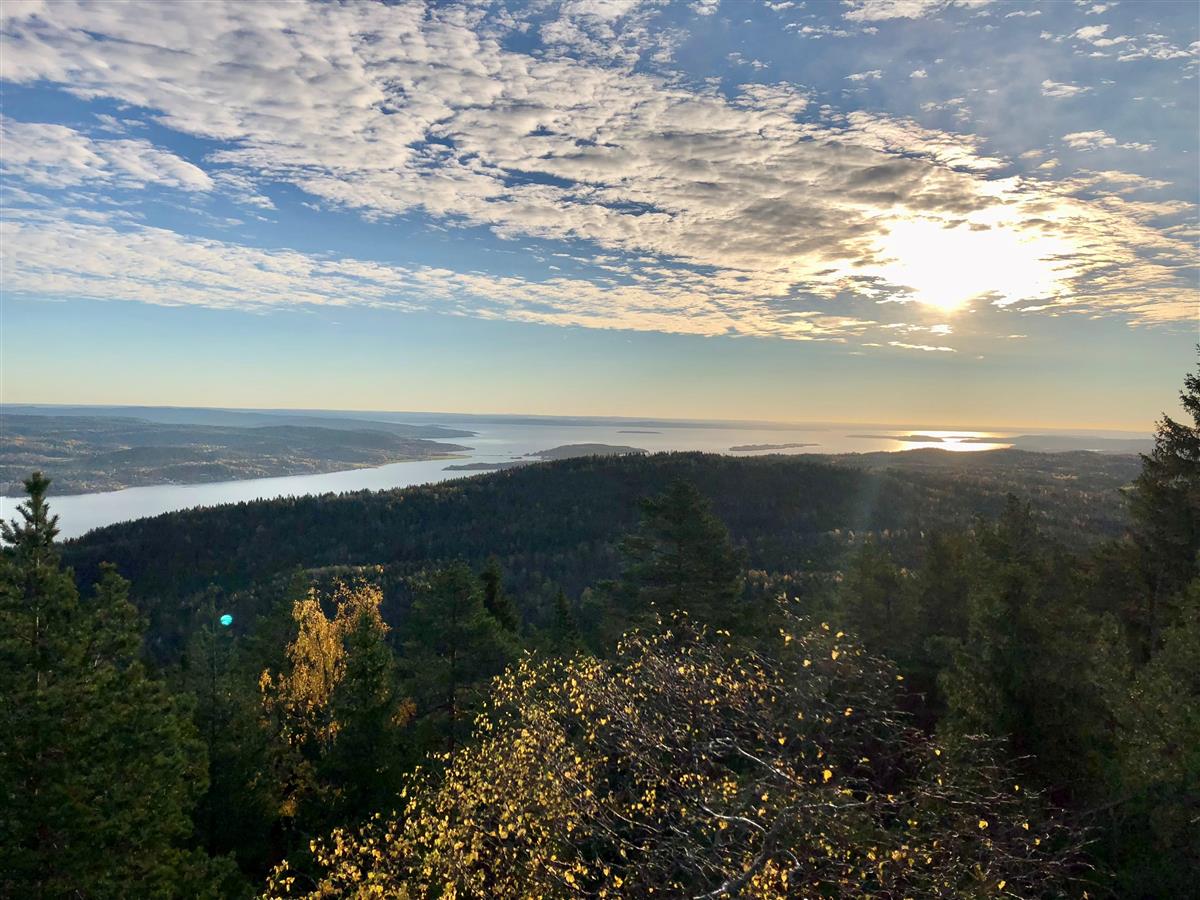 Holmestrand bo- og behandlingssenter - Holmestrand kommune